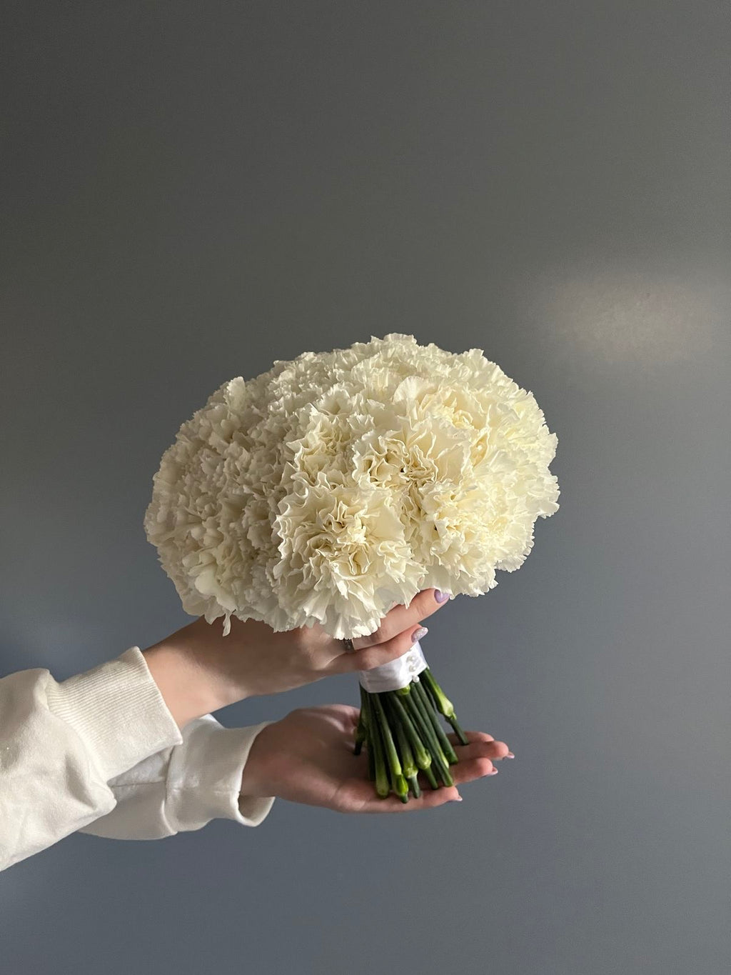 Carnations of Grace – Apricity Creative Space